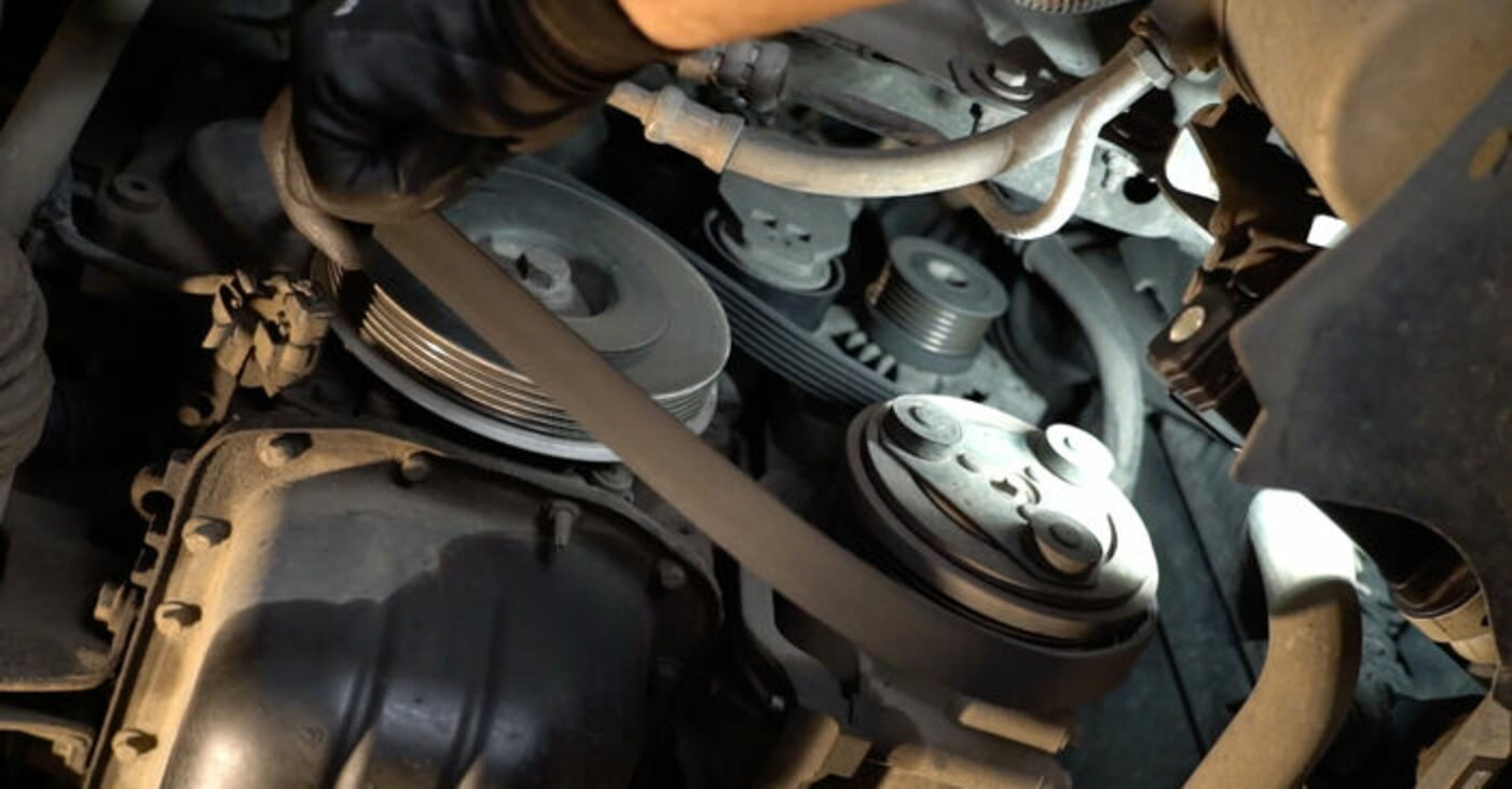 How to change serpentine belt on Ford Focus MK2 – replacement guide
